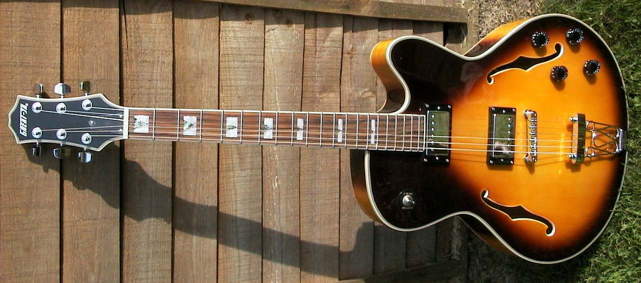 Hollowbody jazzguitar